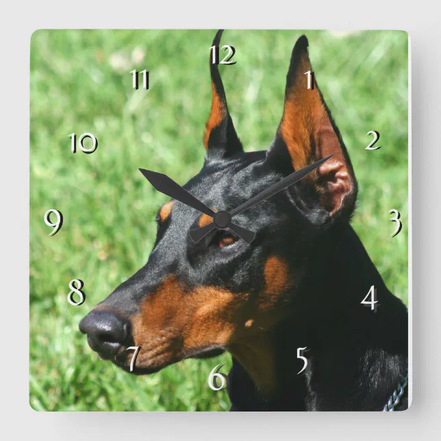 Doberman Pinscher dog clock | Zazzle