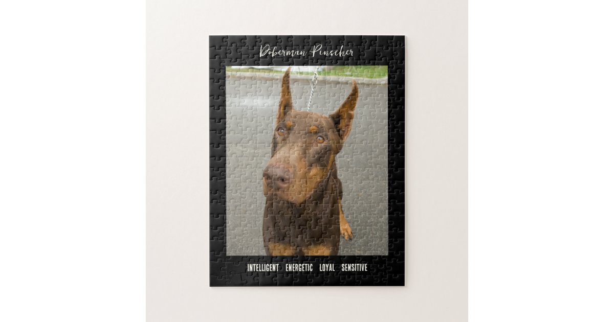 Doberman Pinscher Photo Dog Breed Jigsaw Puzzle | Zazzle