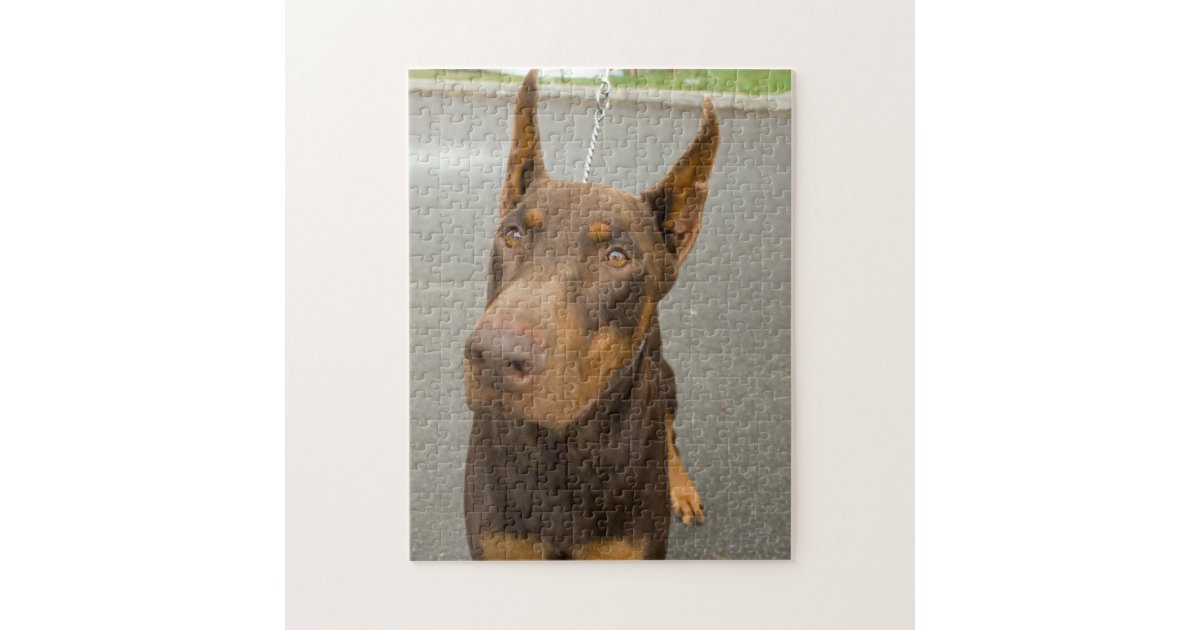 Doberman Pinscher Photo Jigsaw Puzzle | Zazzle