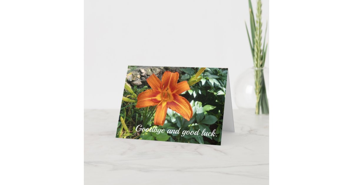 Doctor Goodbye Good Luck Flower Photo Card | Zazzle