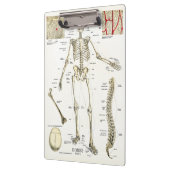 Doctors Office Skeleton Anatomy Clipboard | Zazzle