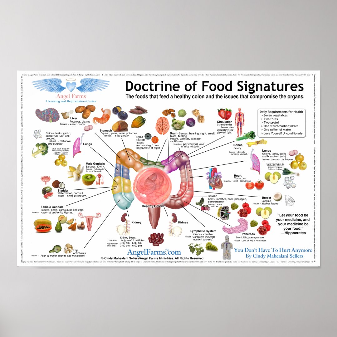 Doctrine of Food Signatures Poster | Zazzle