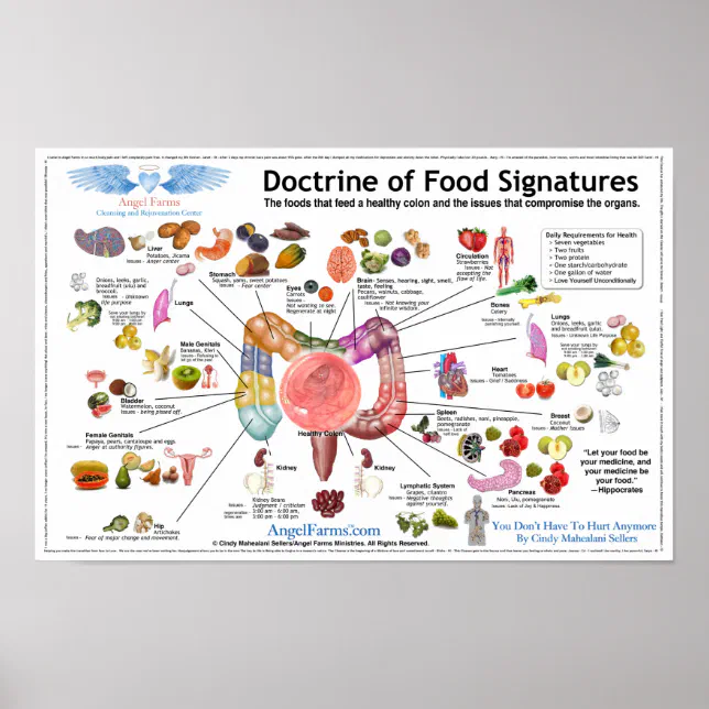 Doctrine of Food Signatures Poster | Zazzle