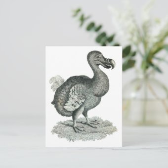 DoDo Bird Print Postcard | Zazzle