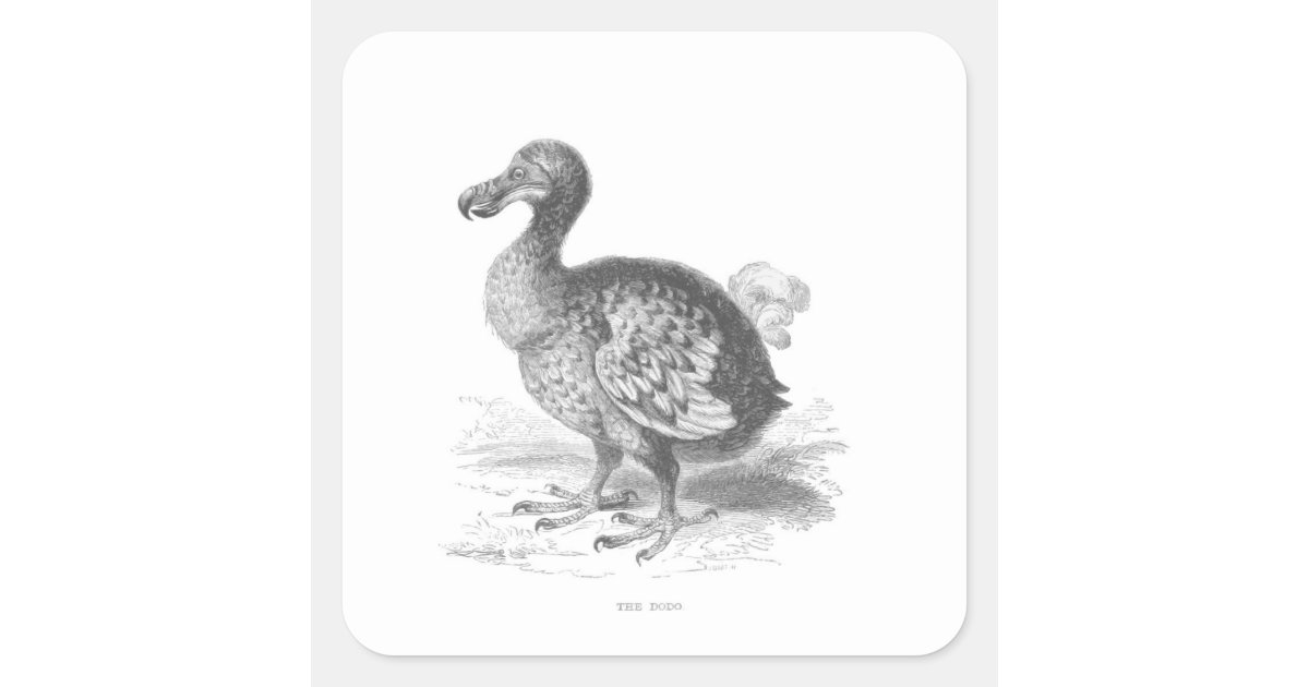 Dodo Bird Square Sticker | Zazzle