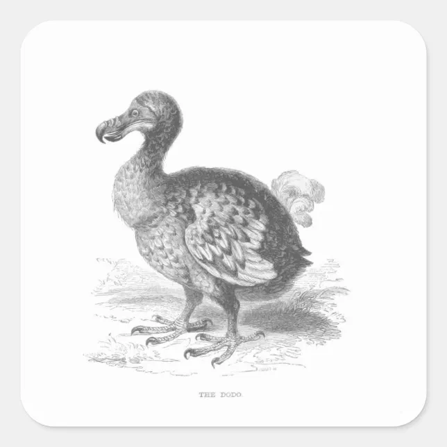 Dodo Bird Square Sticker | Zazzle