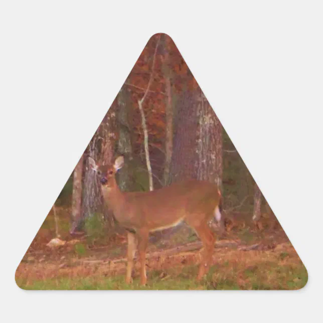 Doe a Deer in Lake Arrowhead Triangle Sticker | Zazzle