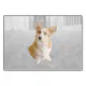 Dog ABA Tact Labeling Flashcard | Picture Card | Zazzle