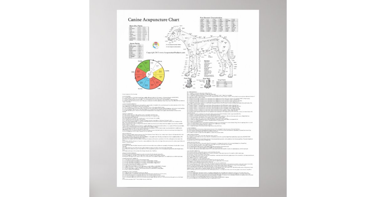 Dog Acupressure Acupuncture Chart | Zazzle