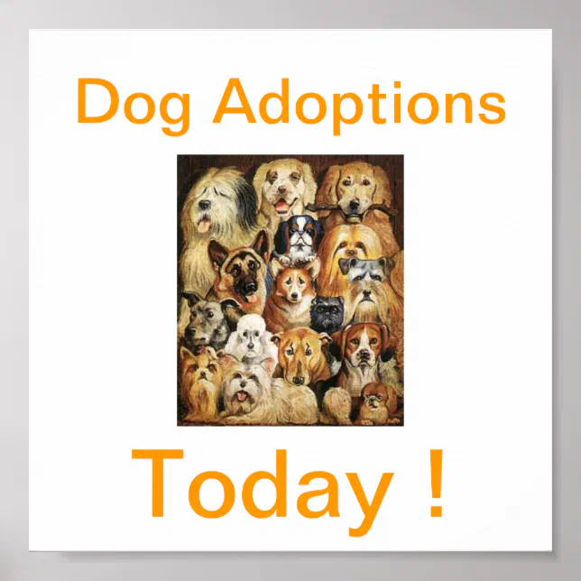 Dog Adoptions Today Signs | Zazzle