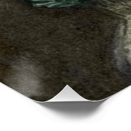 Dog Adoring Girl Poster | Zazzle