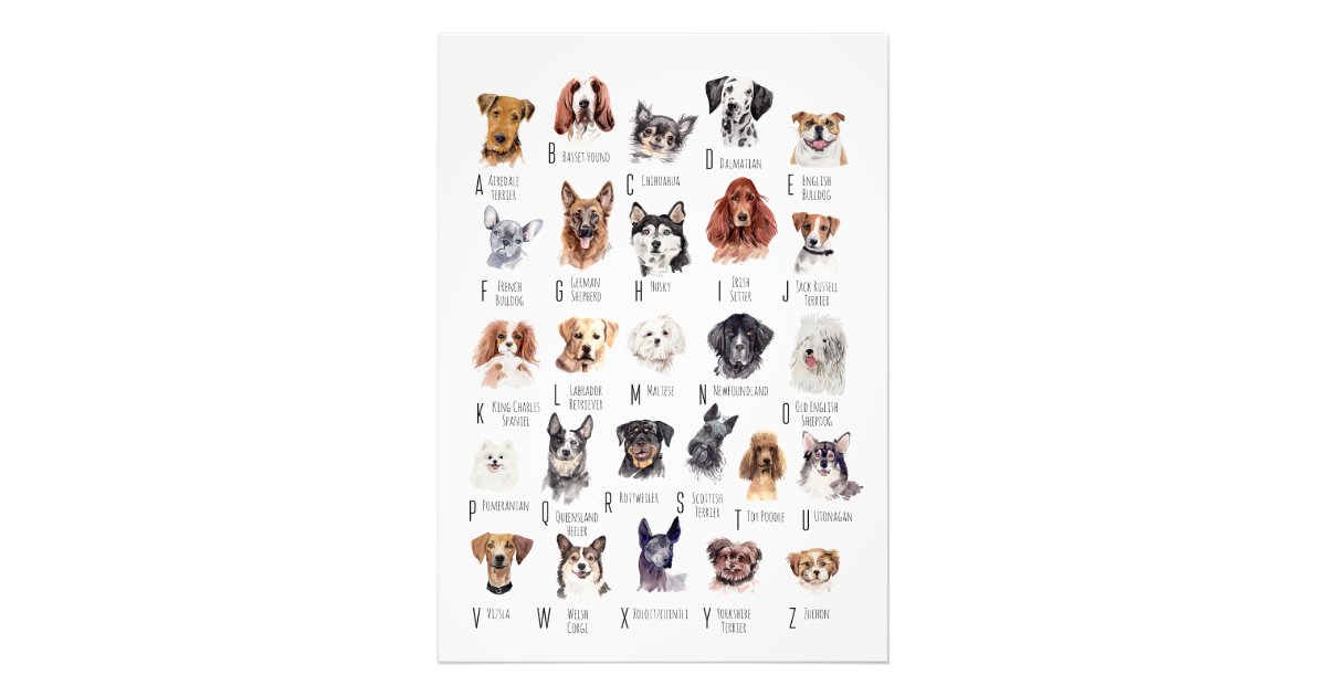 Dog Alphabet Poster | Zazzle
