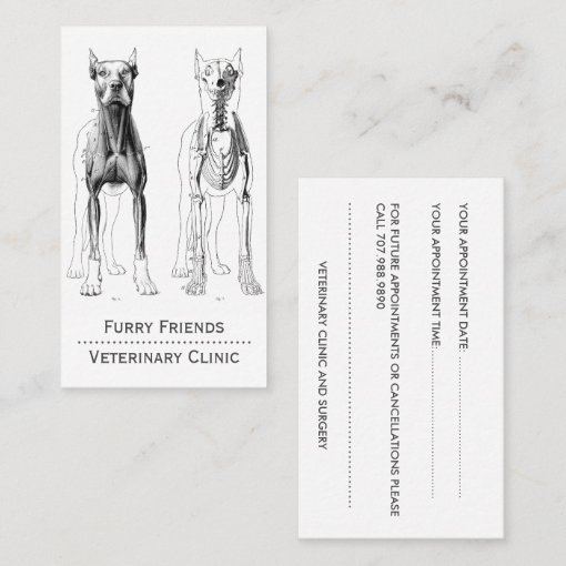 Dog Anatomical Illustration Veterinarian Appointment Card | Zazzle