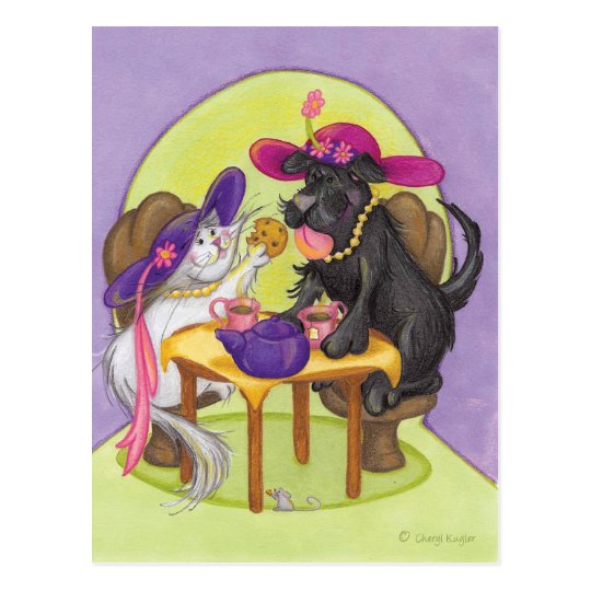 Cat Scan Postcard | Zazzle.com