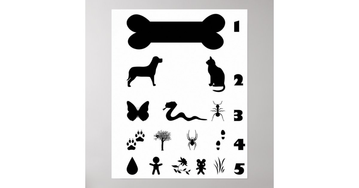 Dog Animal Eye Chart Poster | Zazzle