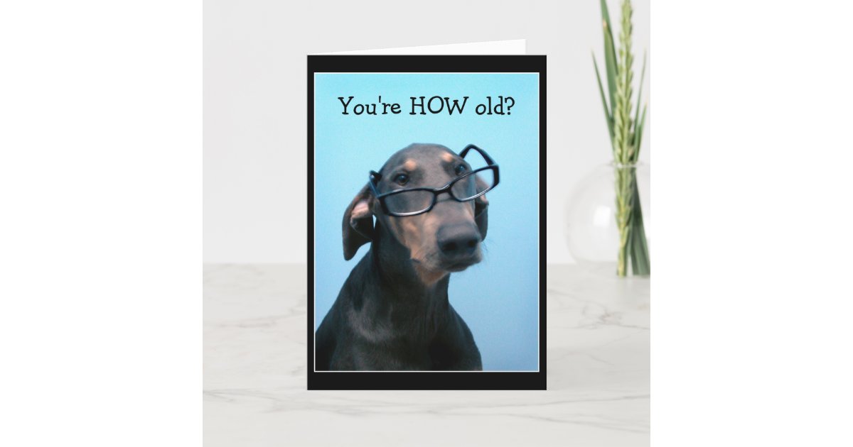 Dog birthday funny greeting card | Zazzle