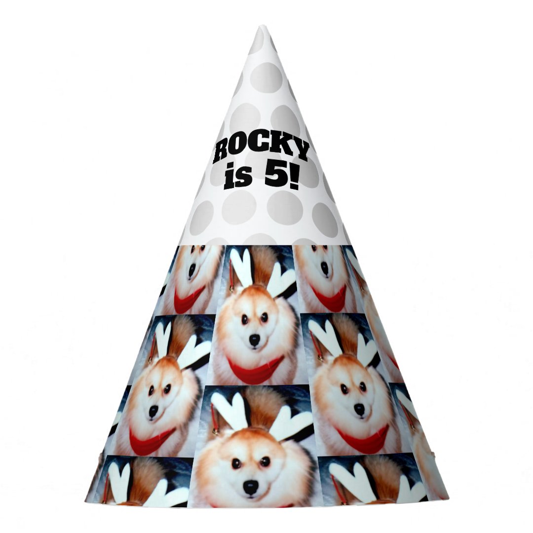 Dog Birthday Party Custom Photo Party Hat | Zazzle