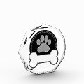 Dog Bone and Paw Acrylic Award | Zazzle
