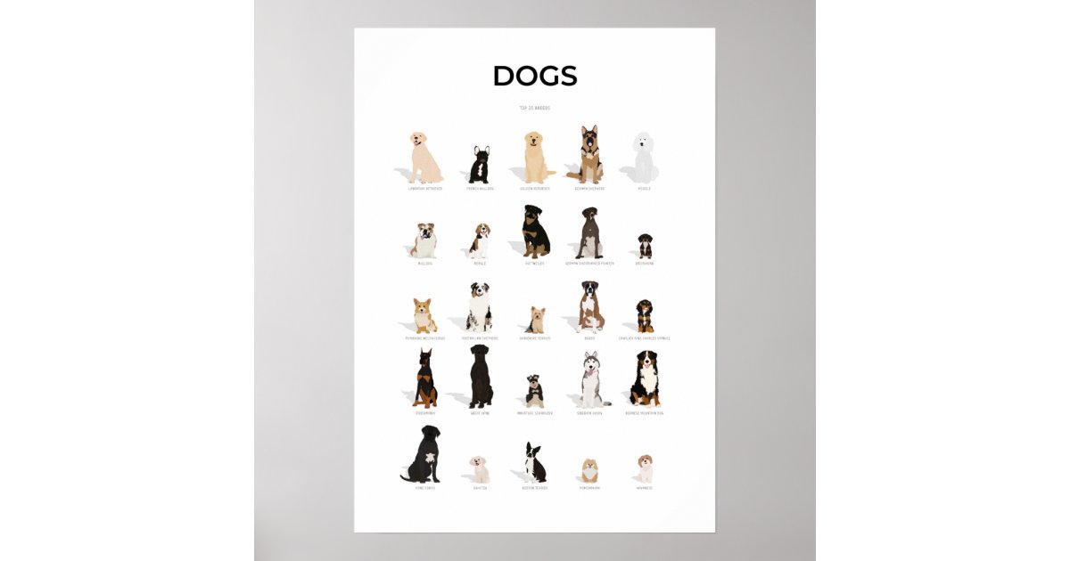 Dog Breeds Collection Poster | Zazzle