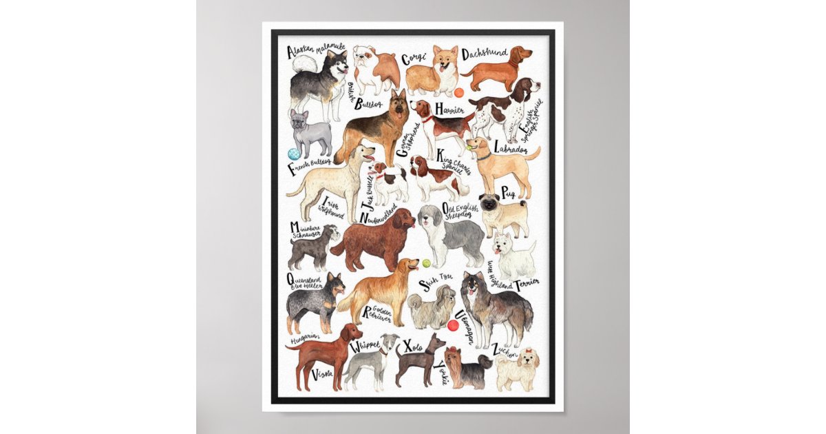 Dog Breeds Poster | Zazzle