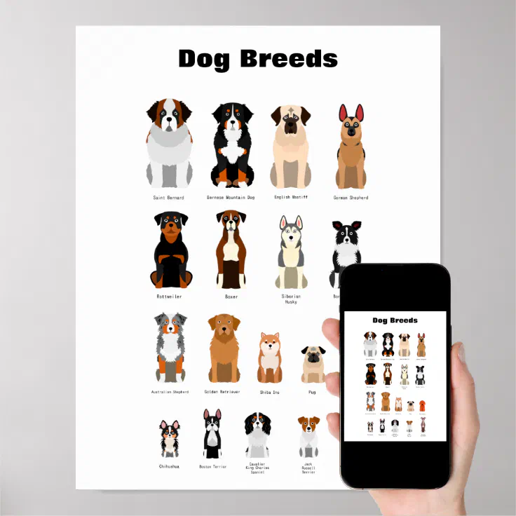 Dog breeds poster. poster | Zazzle