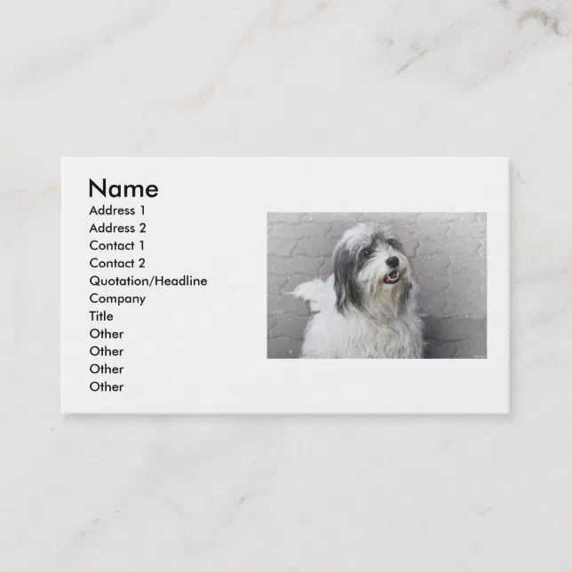 Dog Business Card | Zazzle