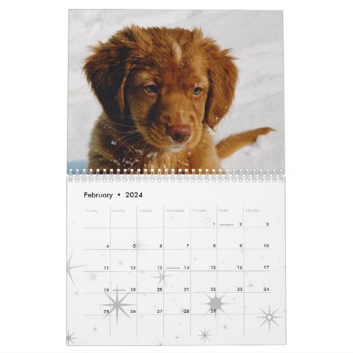 Dog calander calendar | Zazzle