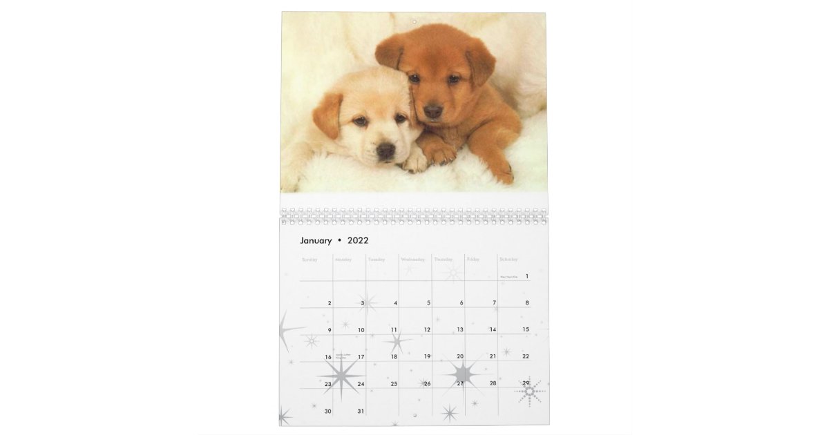 Dog calander calendar | Zazzle.com