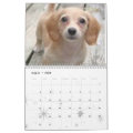 Dog calander calendar | Zazzle