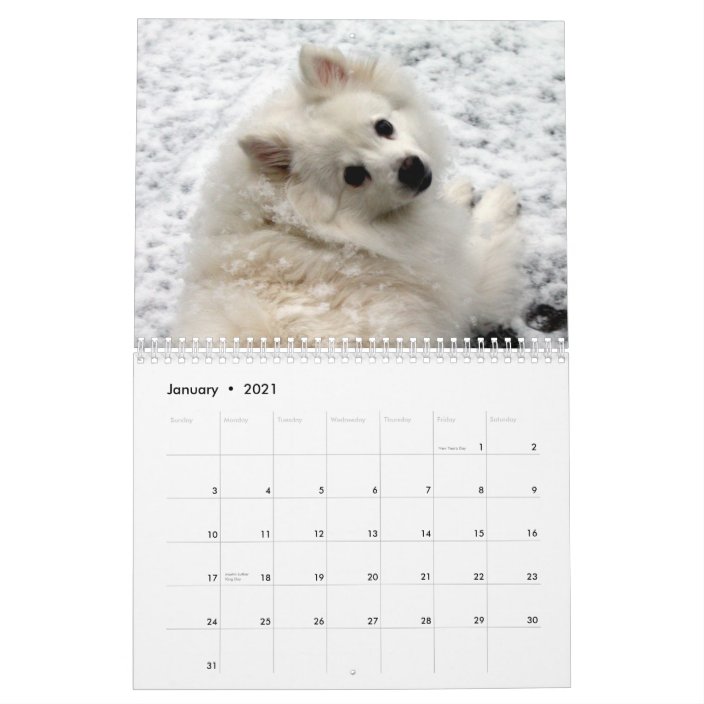 Dog Calendar | Zazzle.com