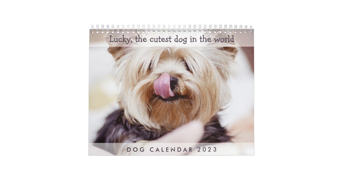 Dog Calendar 2023 Add Your Cute Photos | Zazzle