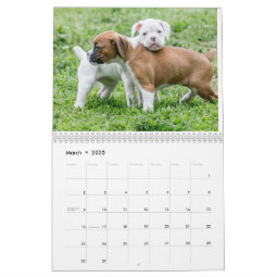 Dog Calendars - Cute Boxer Puppies | Zazzle