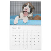 Dog Calendars - Cute Boxer Puppies | Zazzle
