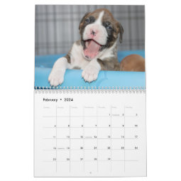 Dog Calendars - Cute Boxer Puppies | Zazzle