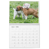 Dog Calendars - Cute Boxer Puppies | Zazzle