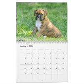 Dog Calendars - Cute Boxer Puppies | Zazzle