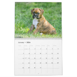 Dog Calendars - Cute Boxer Puppies | Zazzle