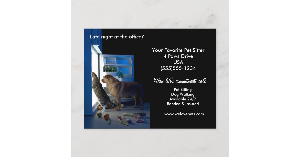 Dog & Cat Home Alone Midnight Pet Sitter Postcard | Zazzle