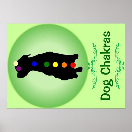 Dog Chakras poster | Zazzle.com