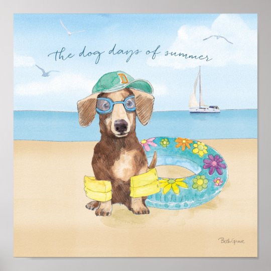Dog Days of Summer Poster | Zazzle.com