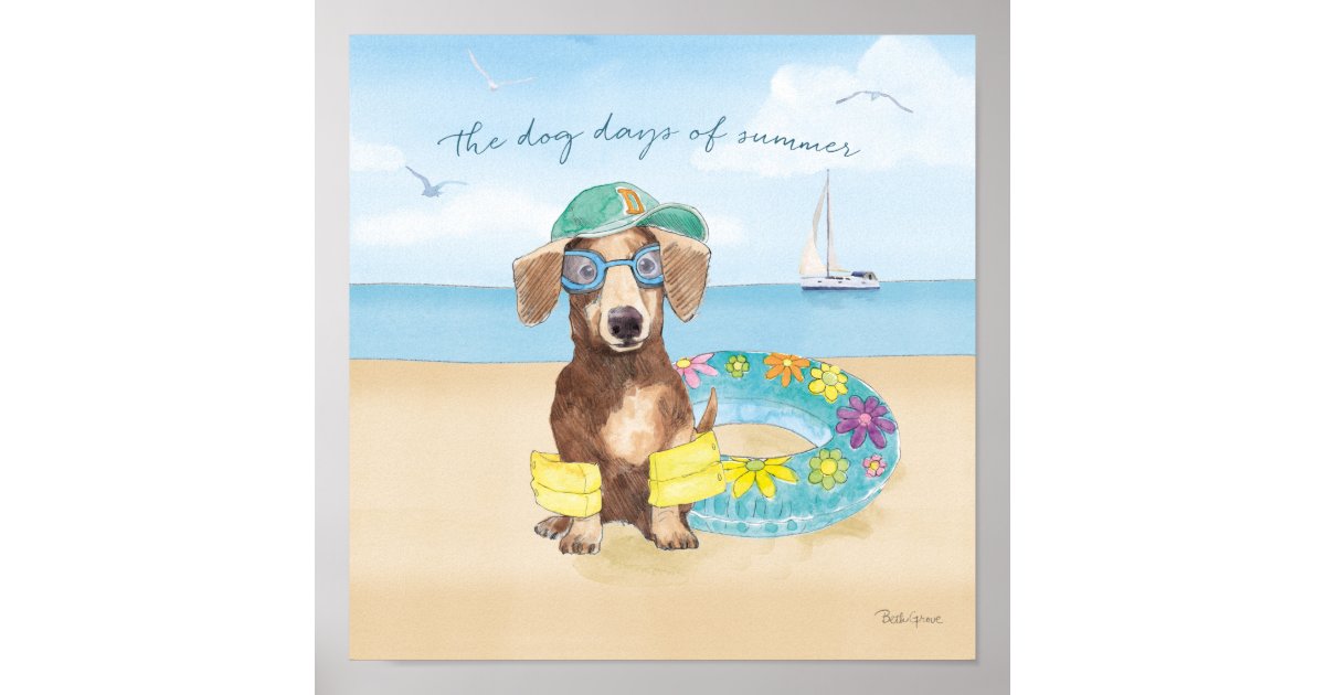 Dog Days of Summer Poster | Zazzle