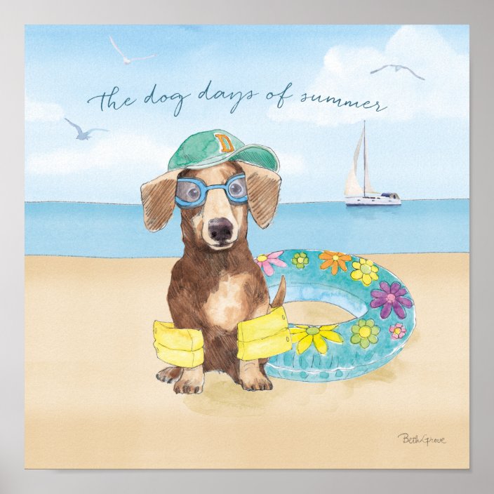 Dog Days of Summer Poster | Zazzle.com