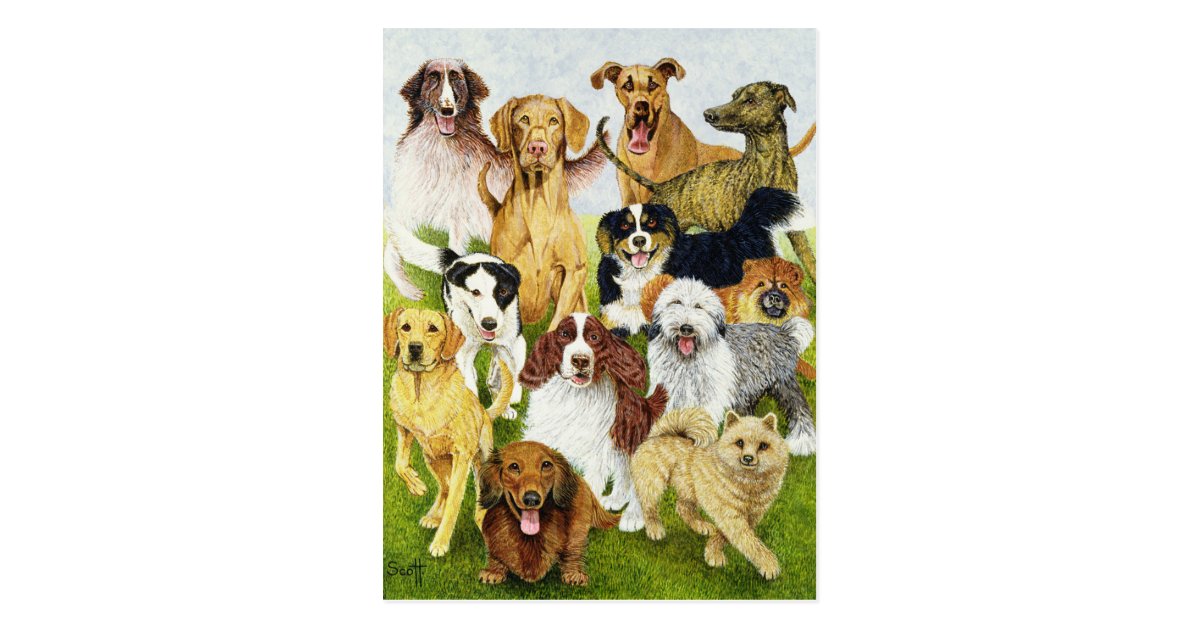Dog Days Postcard | Zazzle.com
