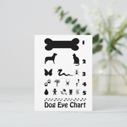 Dog Eye Chart Postcard | Zazzle