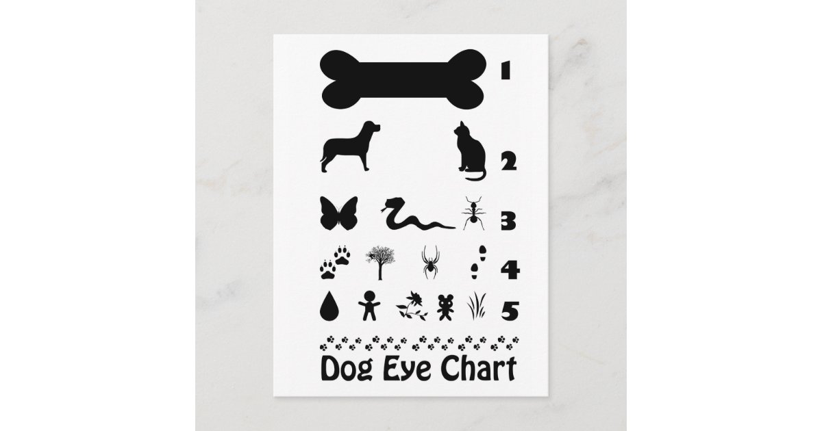Dog Eye Chart Postcard | Zazzle