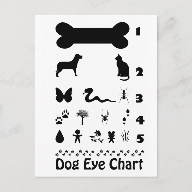 Dog Eye Chart Postcard | Zazzle