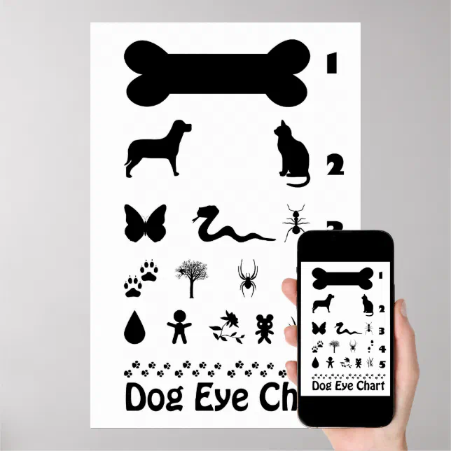 Dog Eye Chart Poster | Zazzle