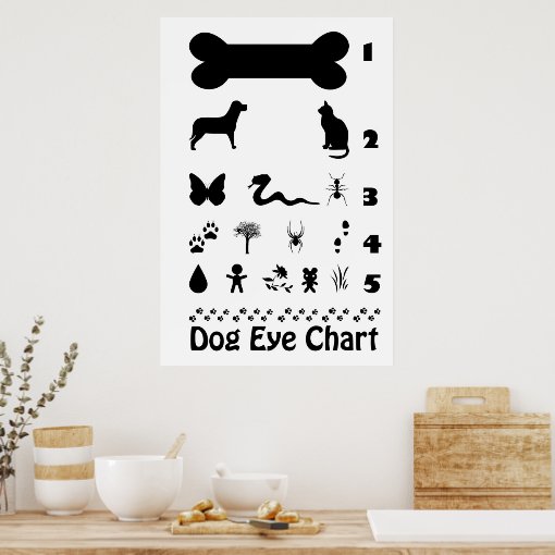 Dog Eye Chart Poster | Zazzle