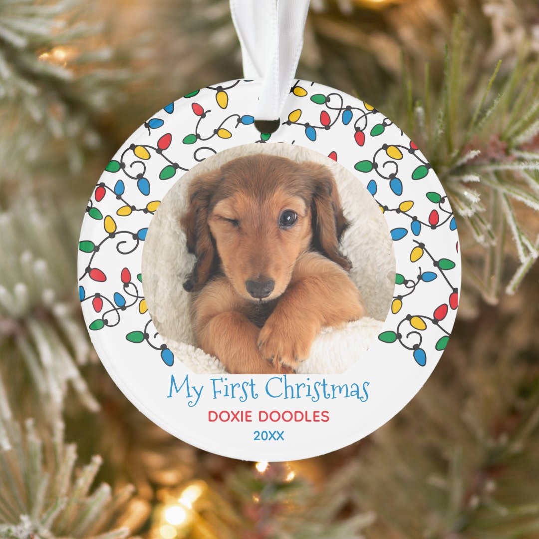 Dog First Christmas Christmas Lights Puppy Photo Ornament | Zazzle