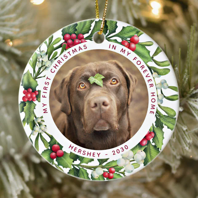 Dog First Christmas Forever Home 2 Photo Mistletoe Ceramic Ornament ...